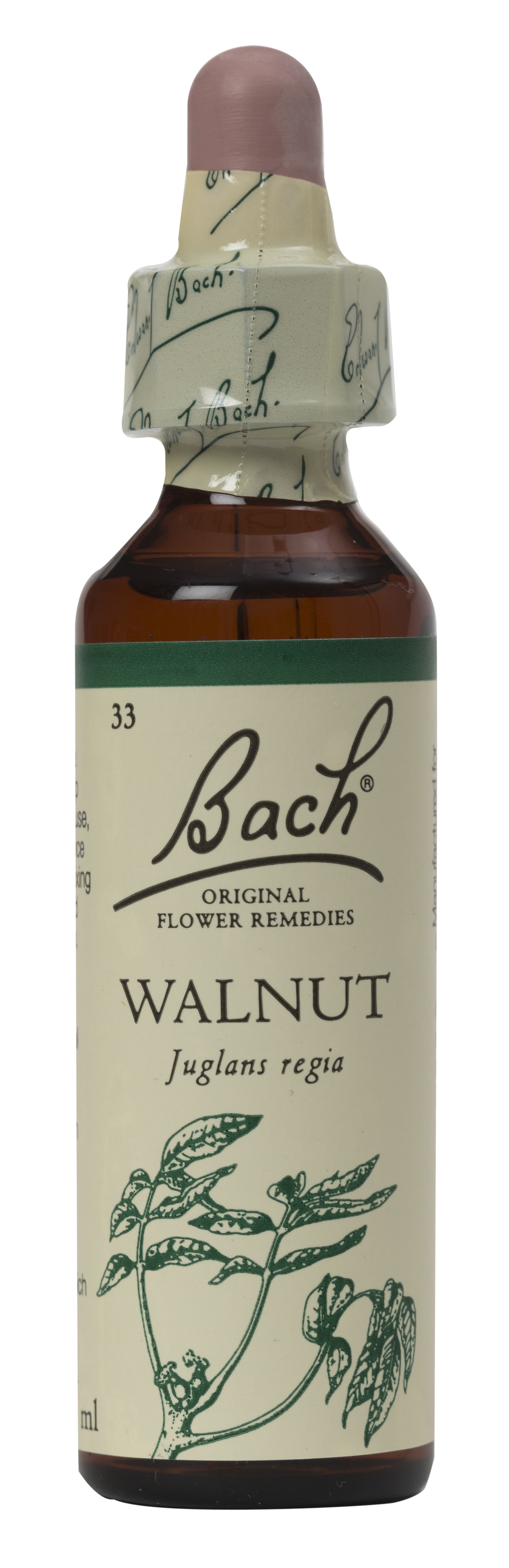 The Tree House Shop; Bach Walnut Flower Remedy 20ml