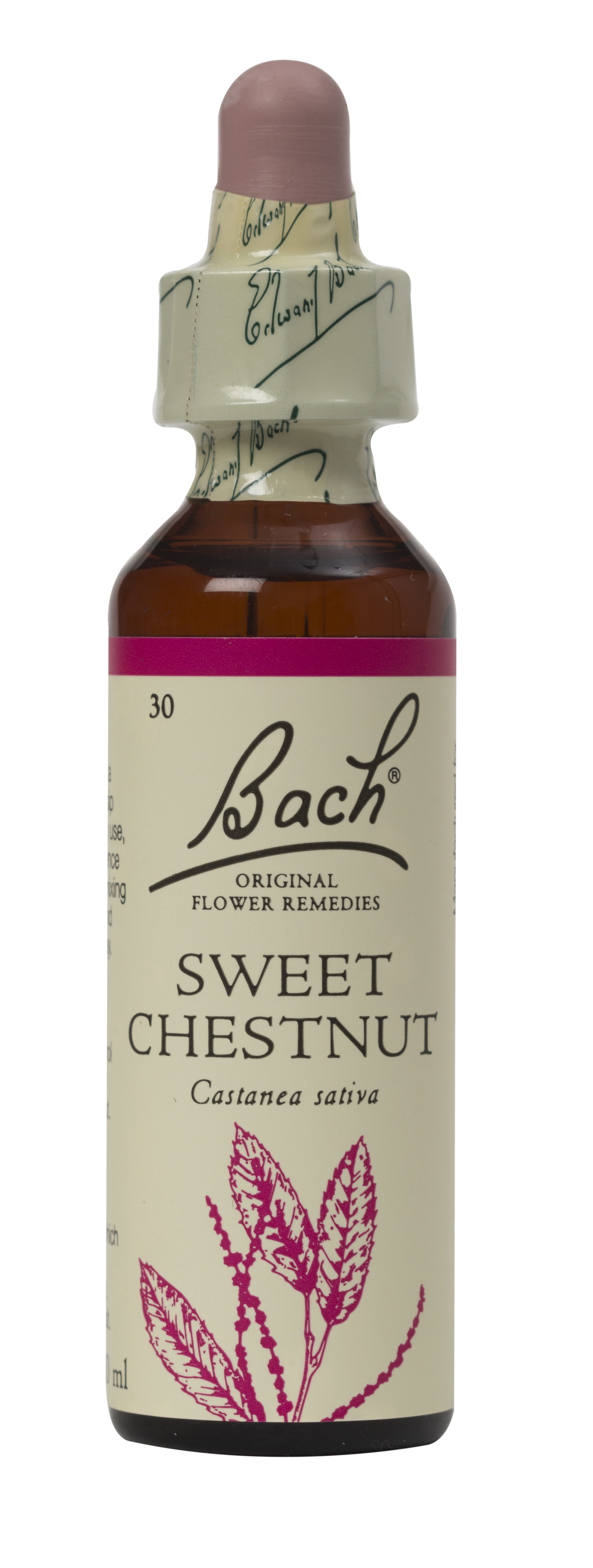 The Tree House Shop; Bach Sweet Chestnut Flower Remedy 20ml